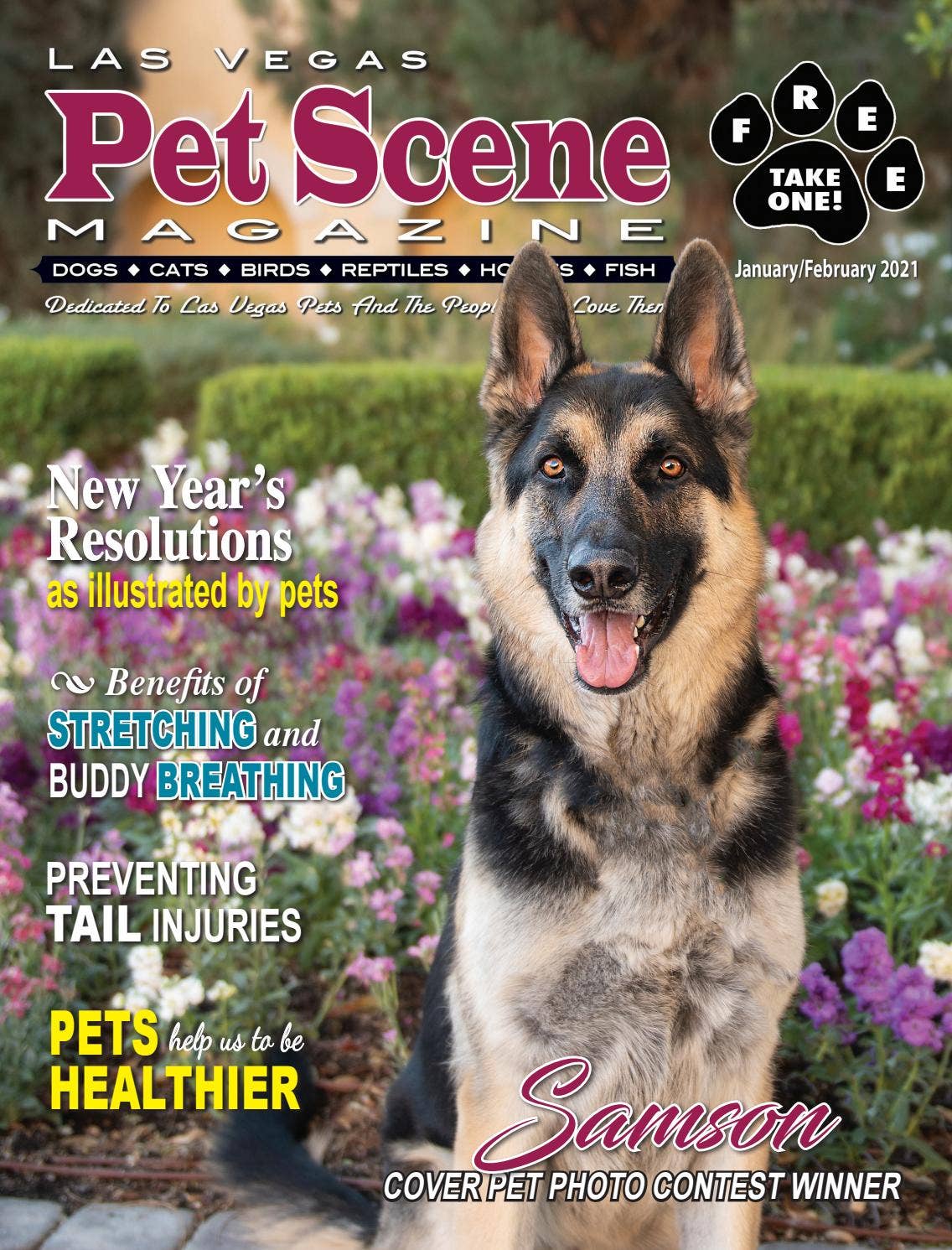 Las Vegas Pet Scene Magazine, January/February 2021 by Homes ...