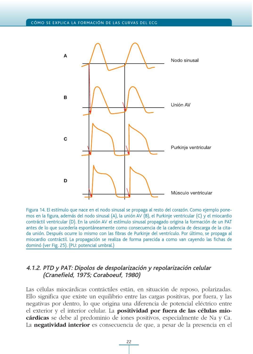 PRINCIPIOS DE ELECTROCARDIOGRAFIA by antonio machuca - Issuu