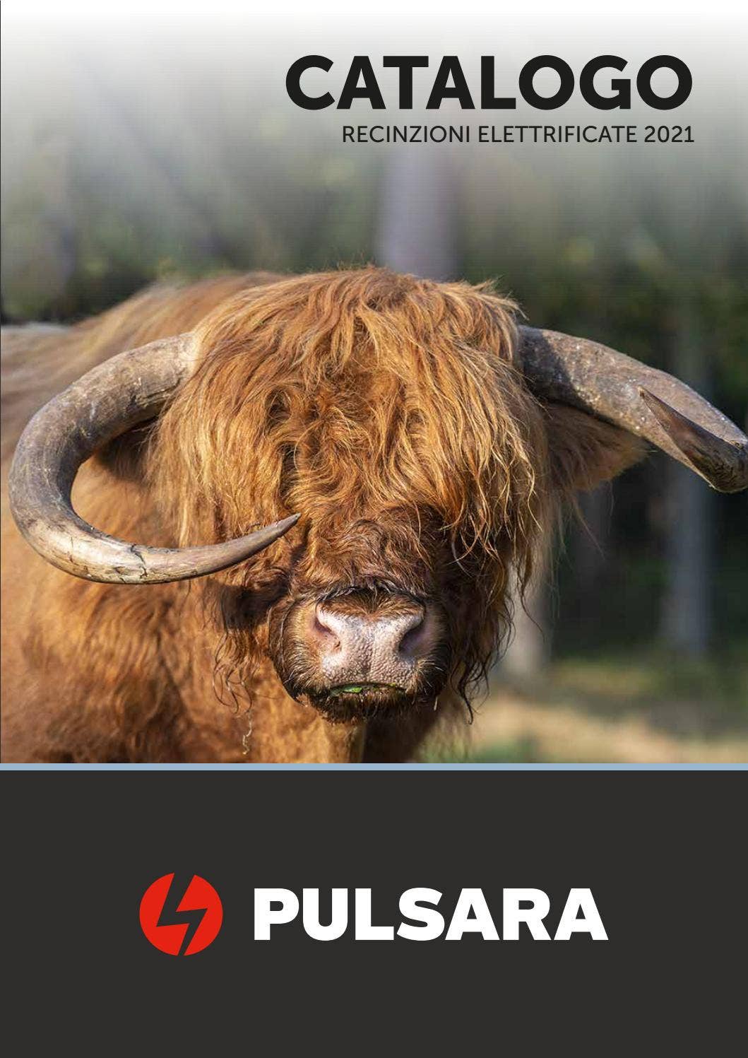 Catalogue Pulsara-ITA by Gallagher Europe - Issuu