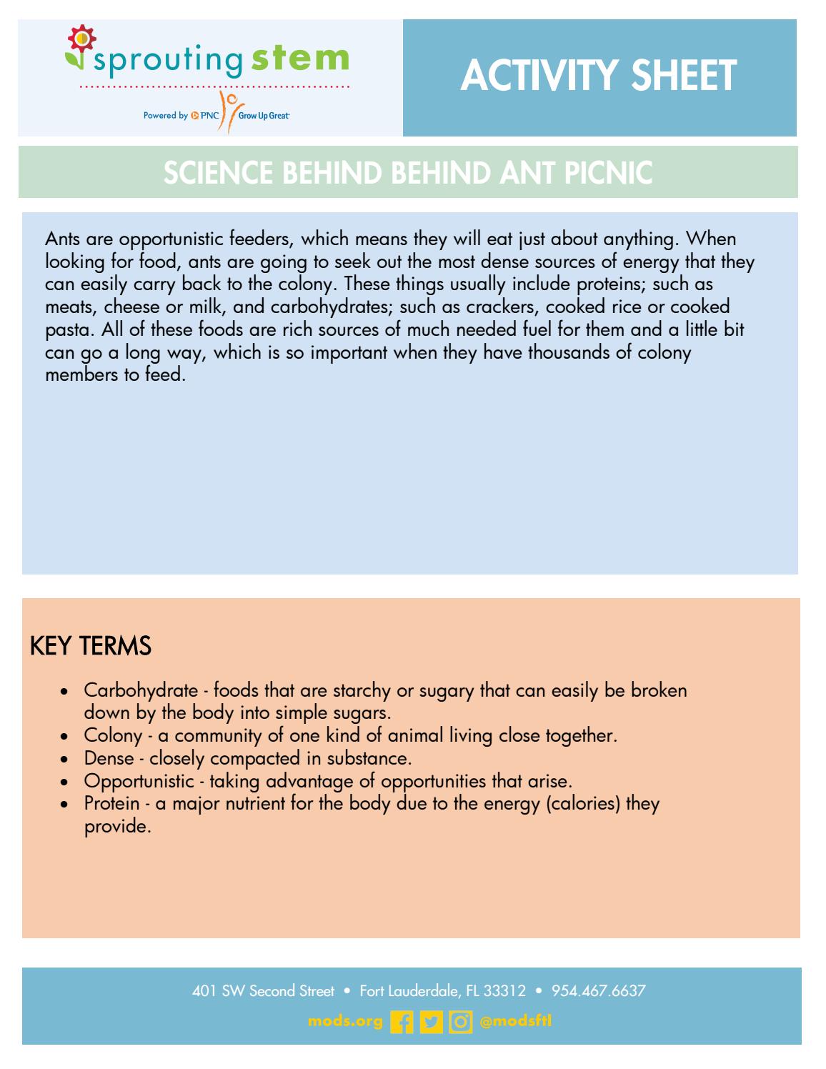 Virtual Sprouting STEM: Ant Picnic by MODS - Issuu