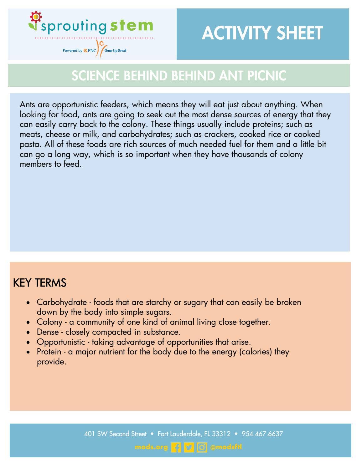 Virtual Sprouting STEM: Ant Picnic by MODS - Issuu