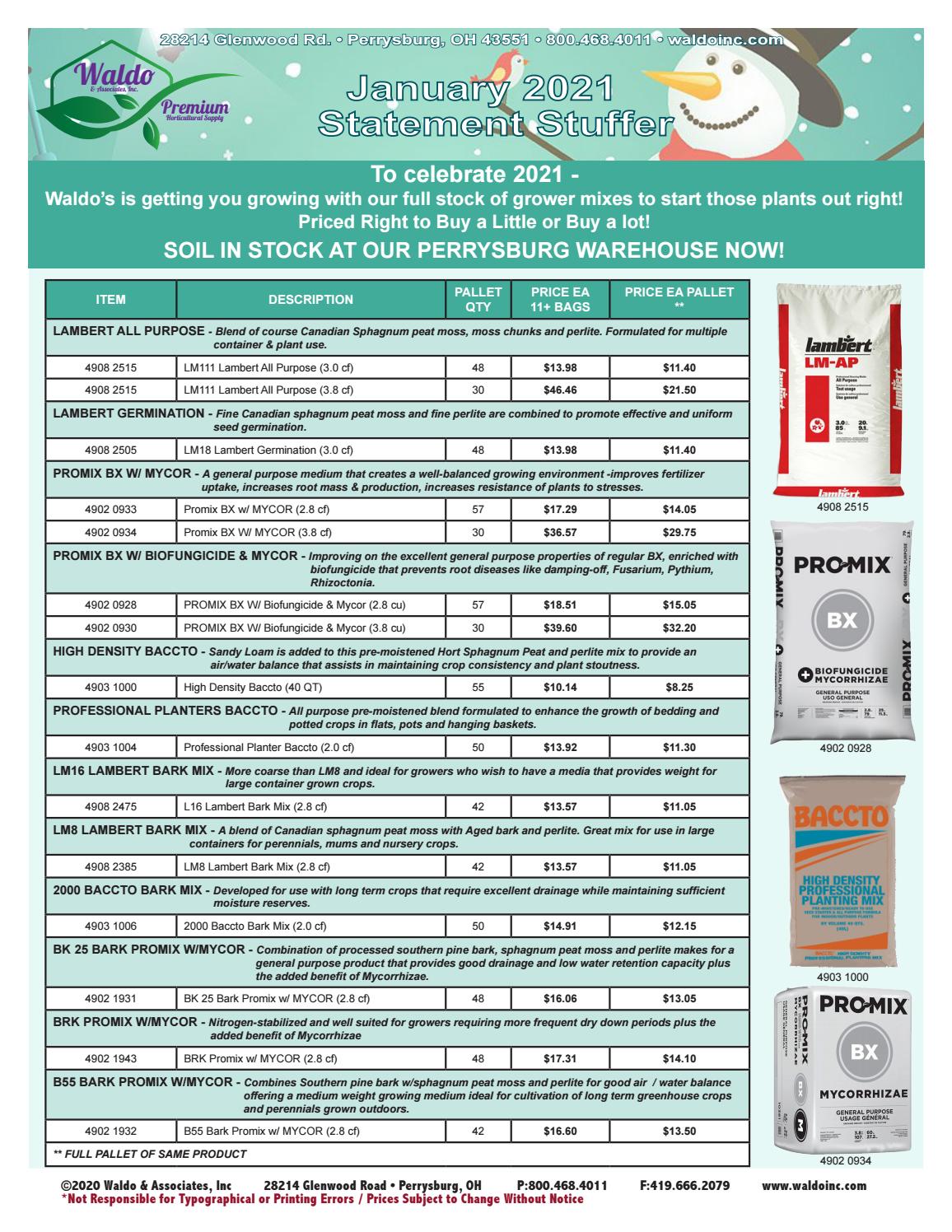 2021 January Statement Stuffer by Waldo & Associate, Inc - Issuu