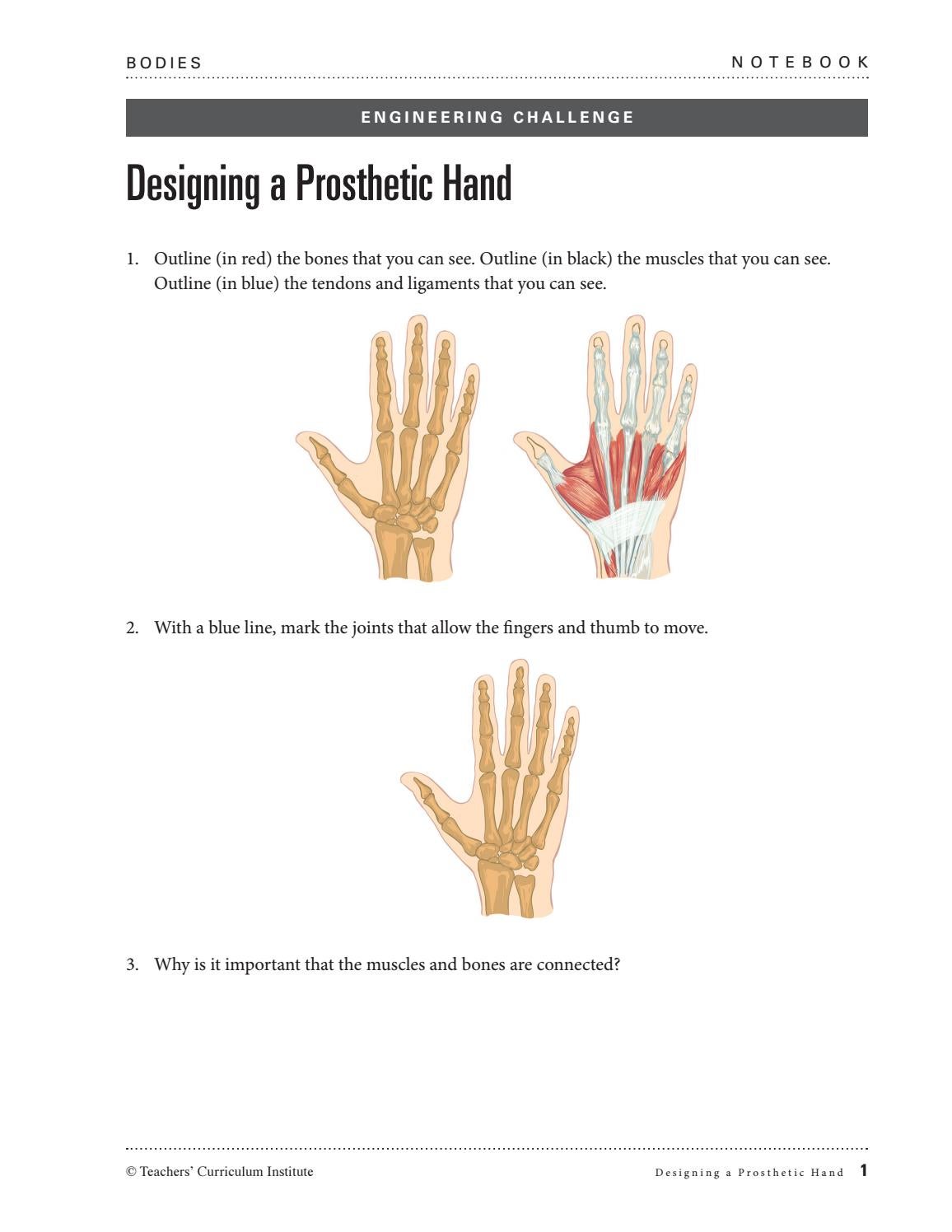 Bring Science Alive! Designing a Prosthetic Hand Engineering Challenge ...