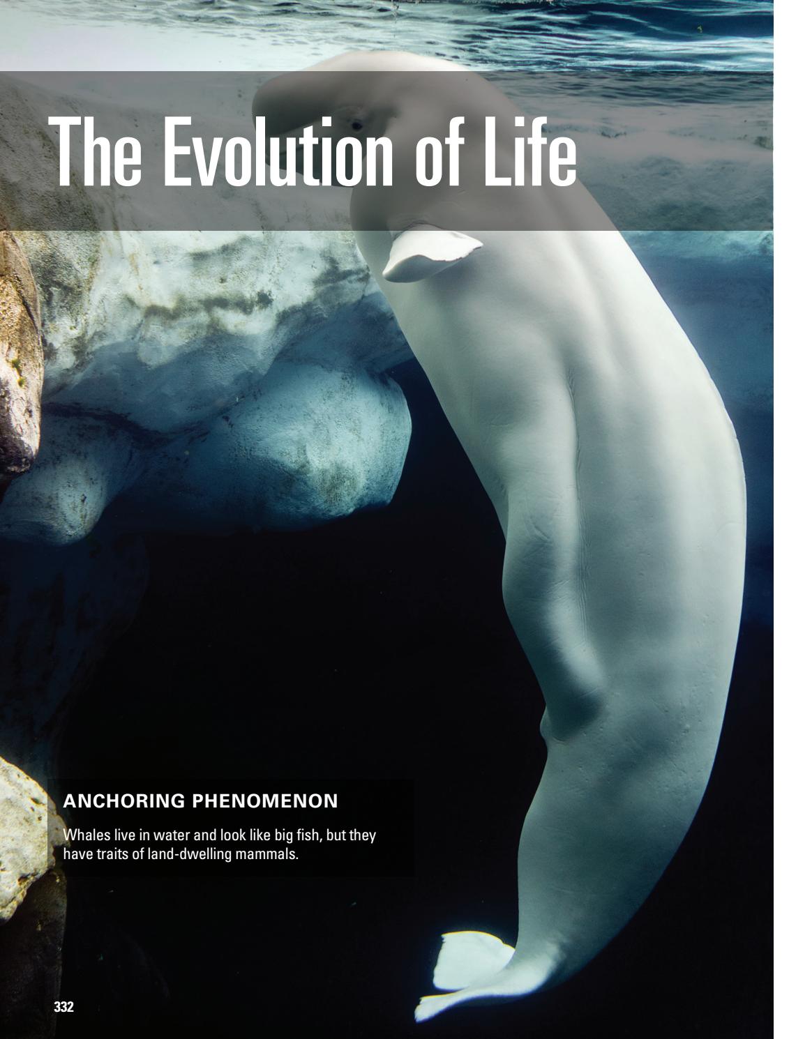 Bring Science Alive! 8th Grade Integrated L24 Reference Text by ...