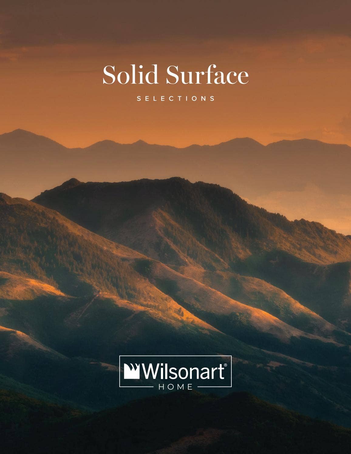 Wilsonart® Home Solid Surface Selections Brochure by Wilsonart - Issuu