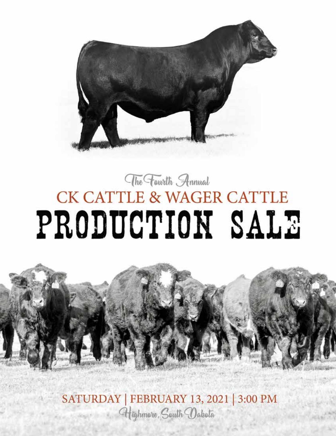 Ck Cattle and Wager Cattle Fourth Annual Production Sale by Tracy ...