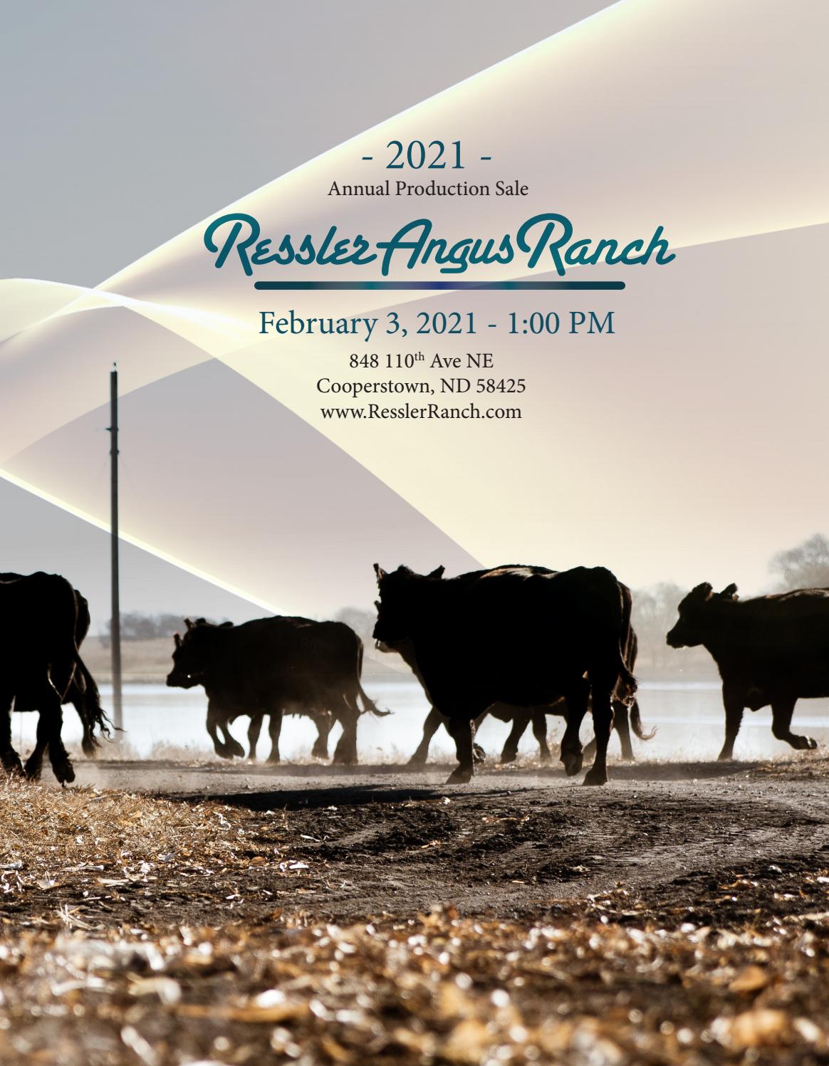 Ressler Ranch Sale Catalog by Focus Marketing Group, Inc. - Issuu