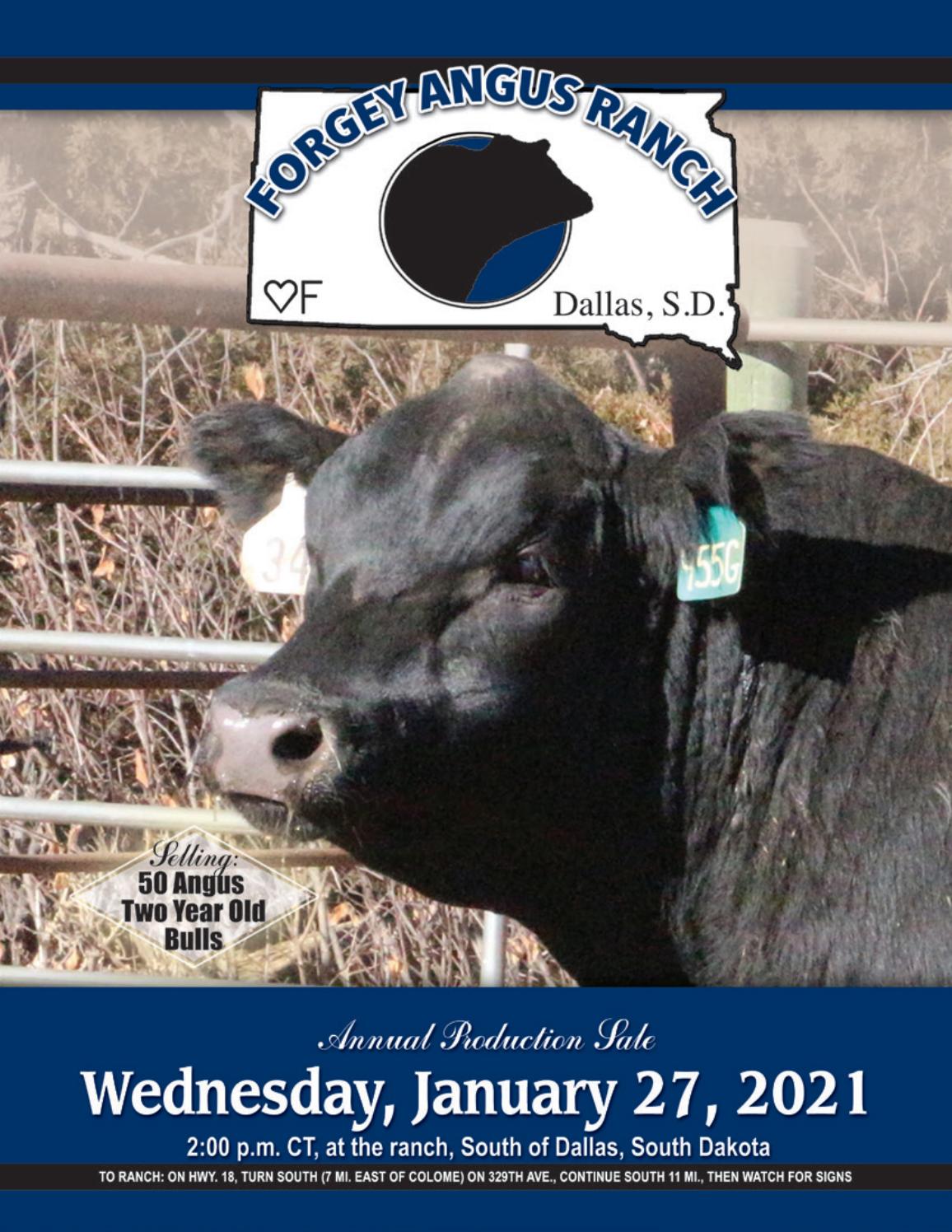 Forgey Angus 2021 Catalog by RPI Promotions - Issuu