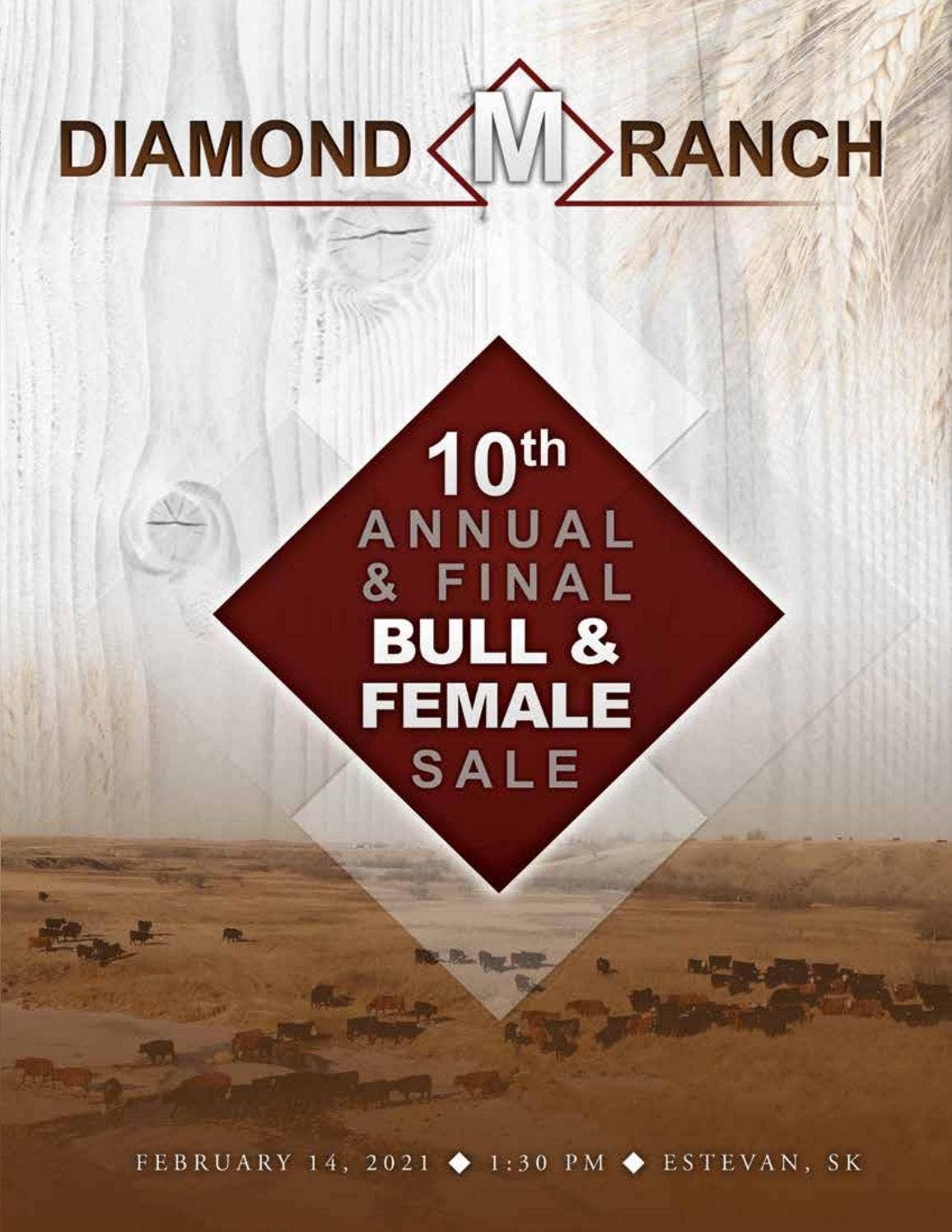 Diamond M Ranch 10th Annual & Final Bull & Female Sale by Today's ...