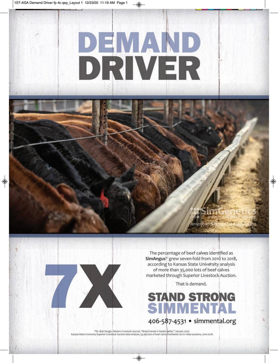SimTalk, January 2021 by American Simmental Publication, Inc - Issuu