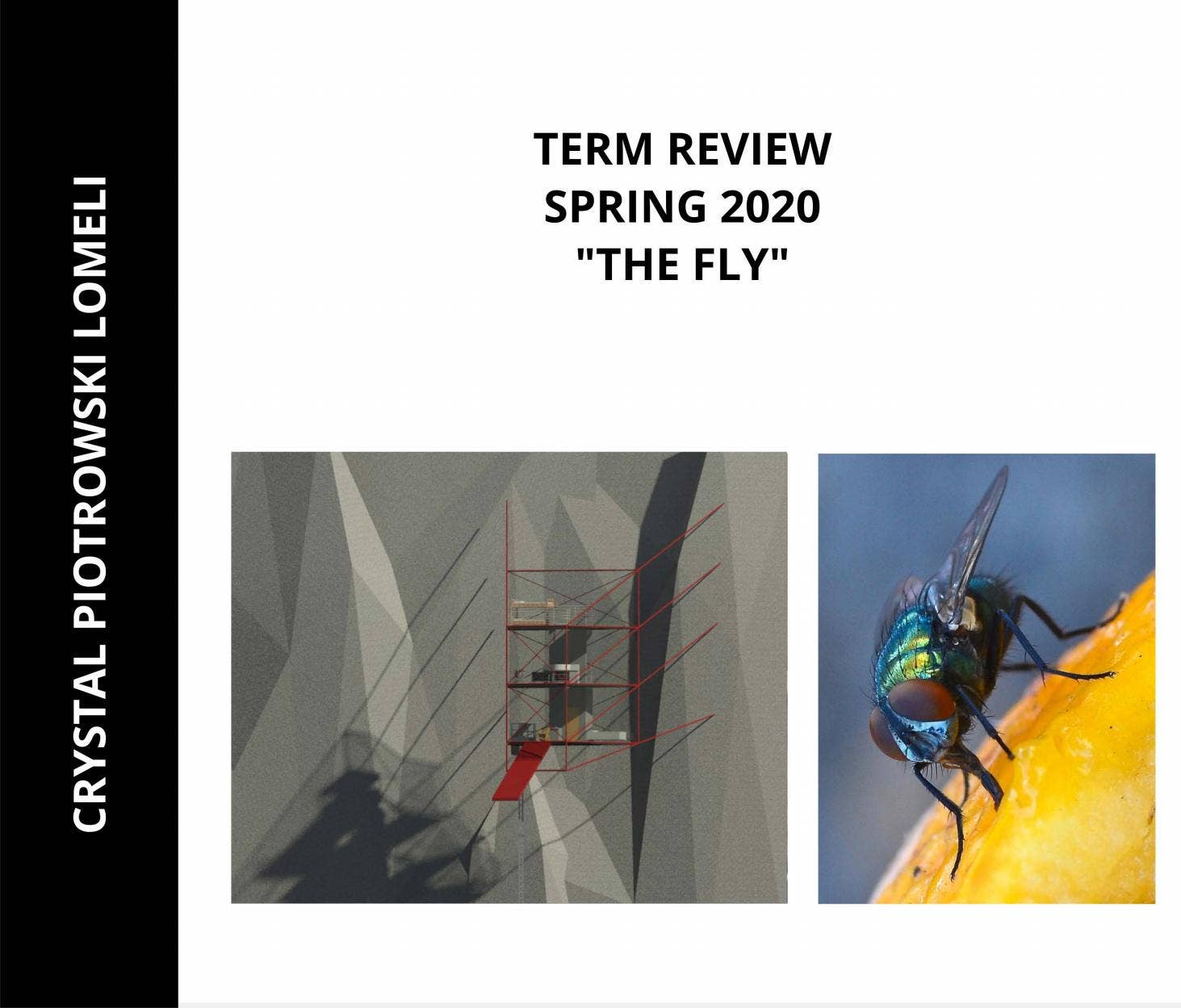 Spring 2020 Technology and Flatpacking Studio by Crystal Piotrowski ...