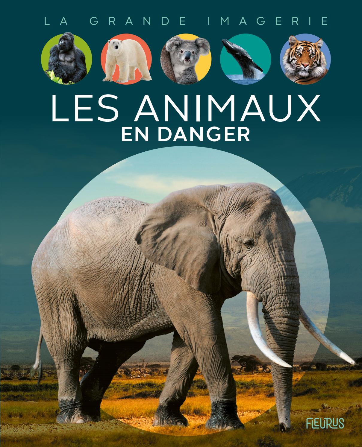 Animaux en danger - Grande imagerie by Fleurus Editions - Issuu