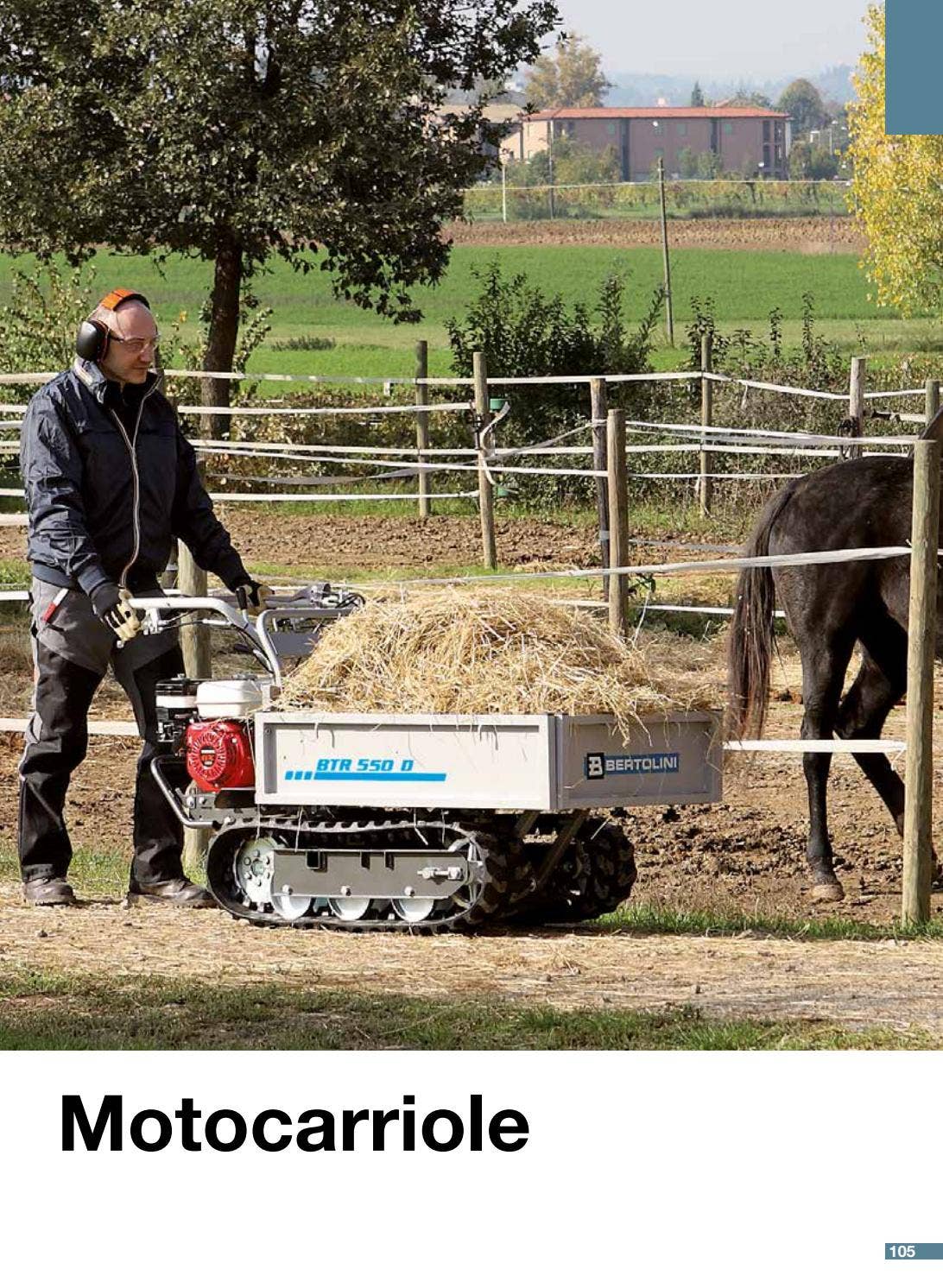 Bertolini - Catalogo 2021 by Emak Spa - Issuu