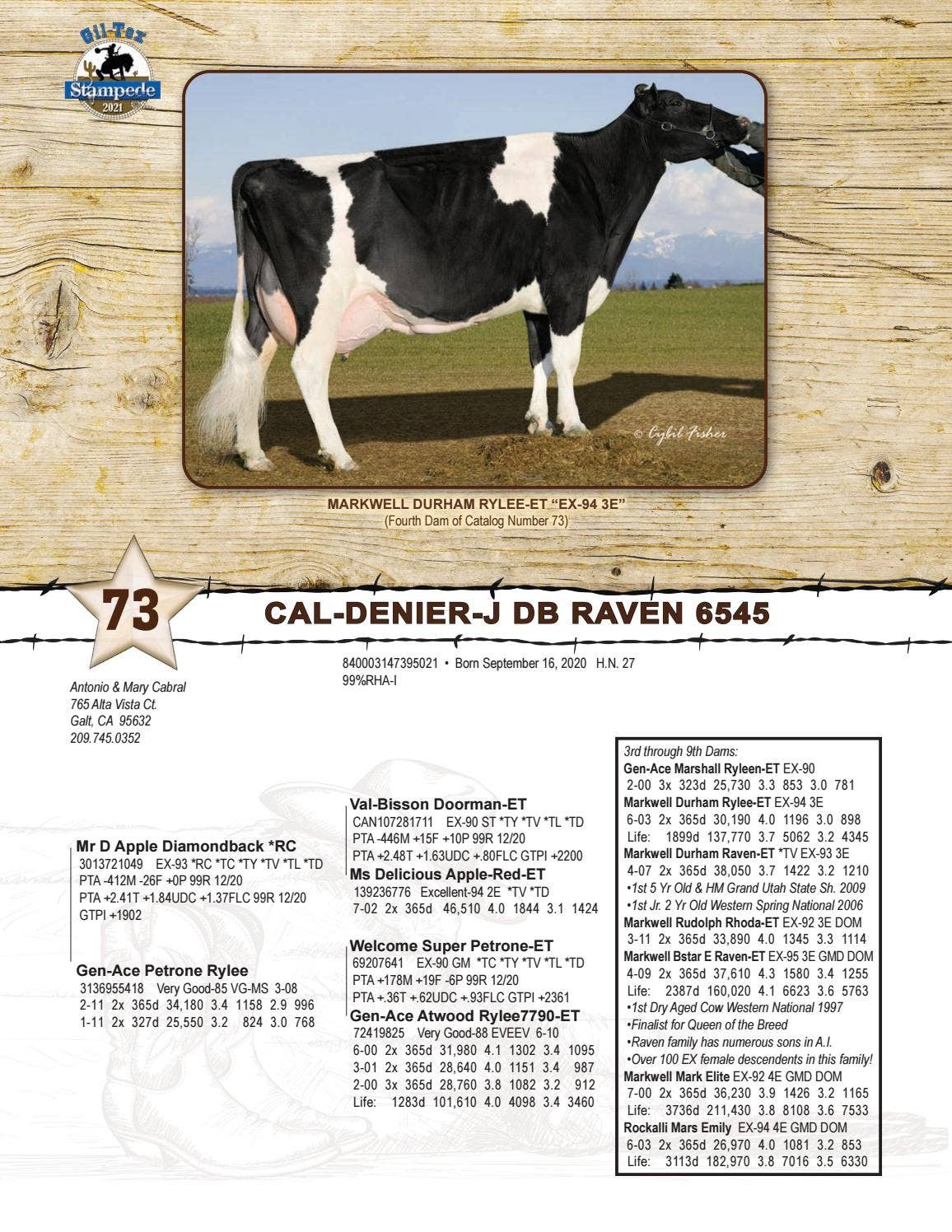 Gil-Tex Stampede Sale 2021 by Cowsmopolitan - Issuu