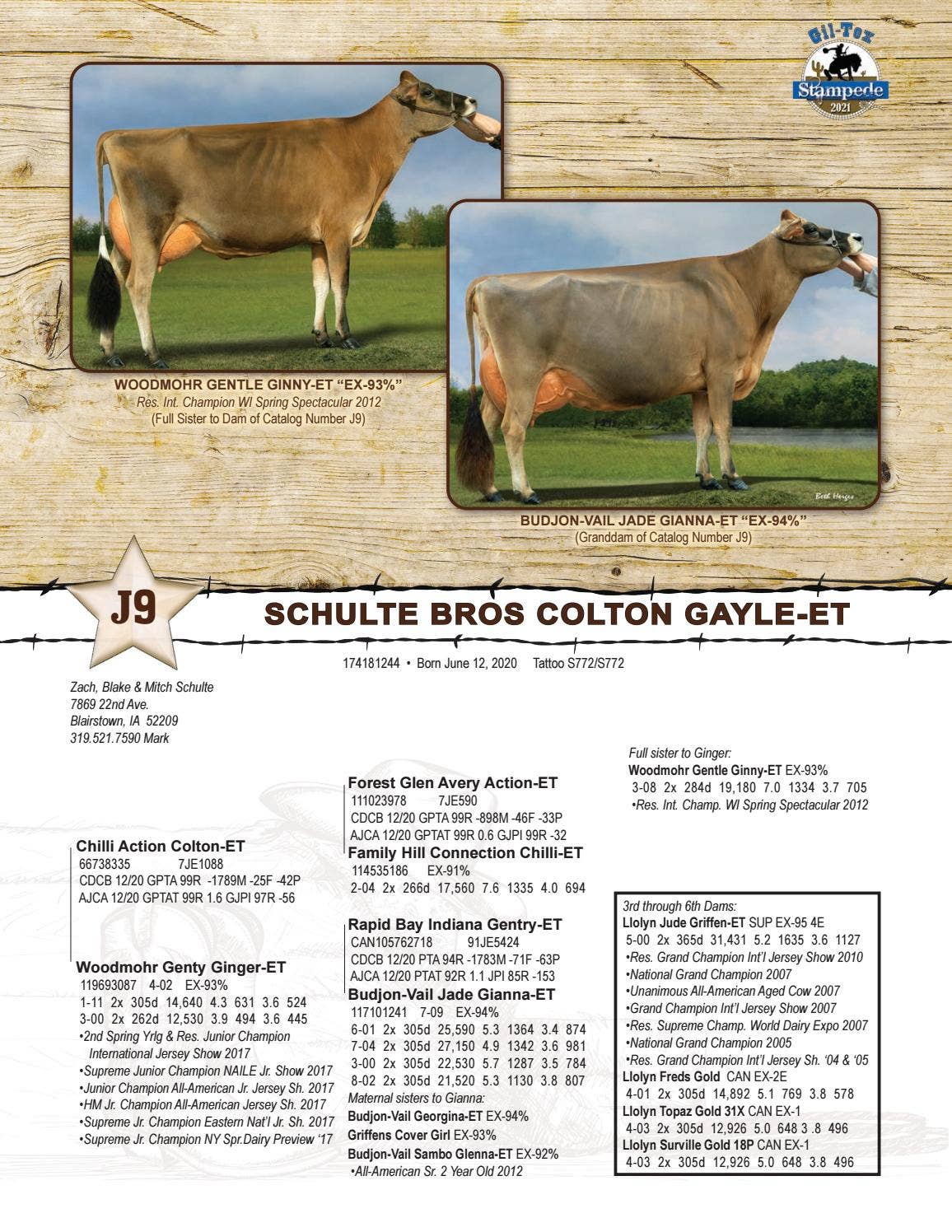 Gil-Tex Stampede Sale 2021 by Cowsmopolitan - Issuu