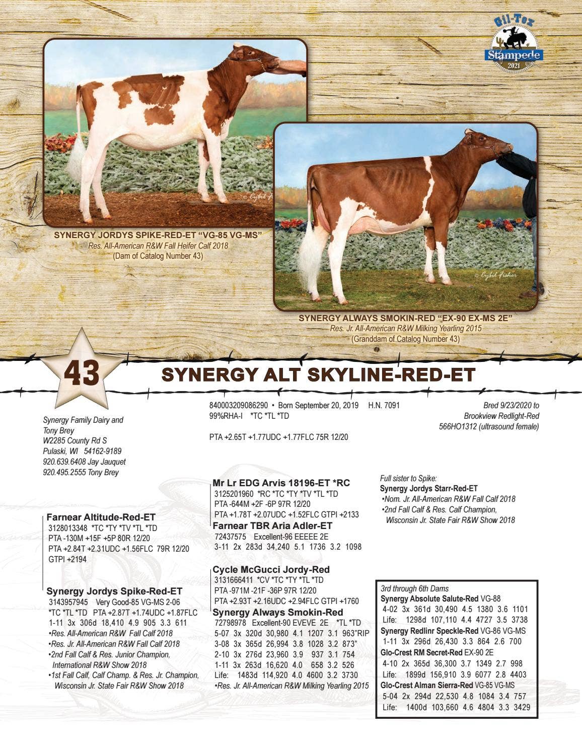 Gil-Tex Stampede Sale 2021 by Cowsmopolitan - Issuu