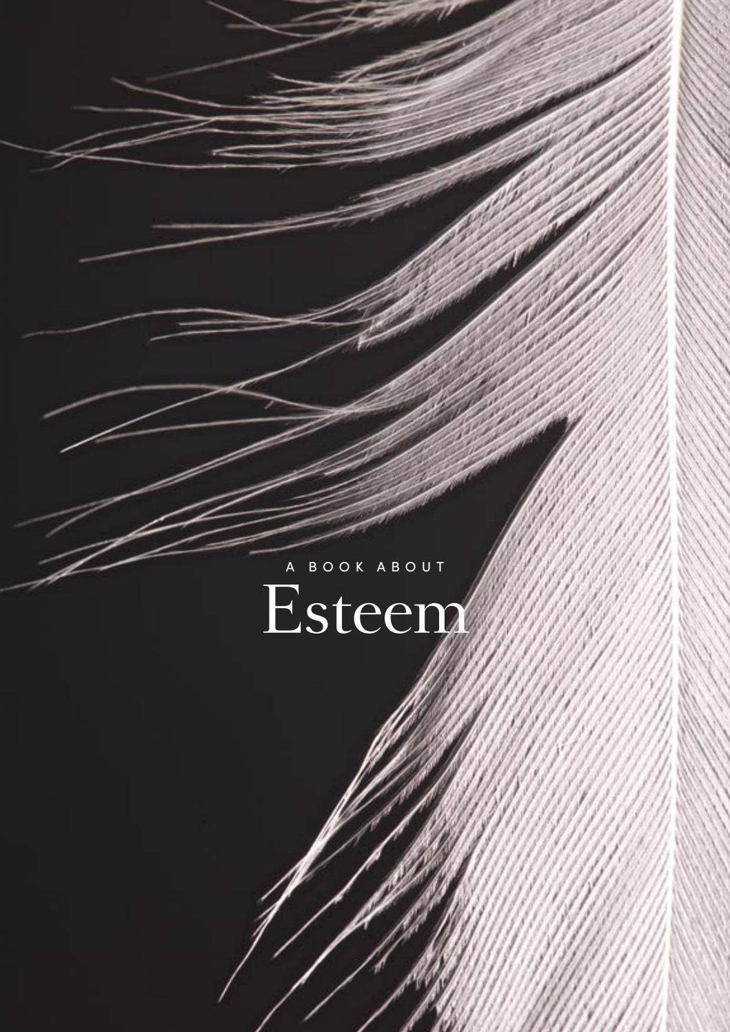 Esteem Development Brochure by Strata - Issuu