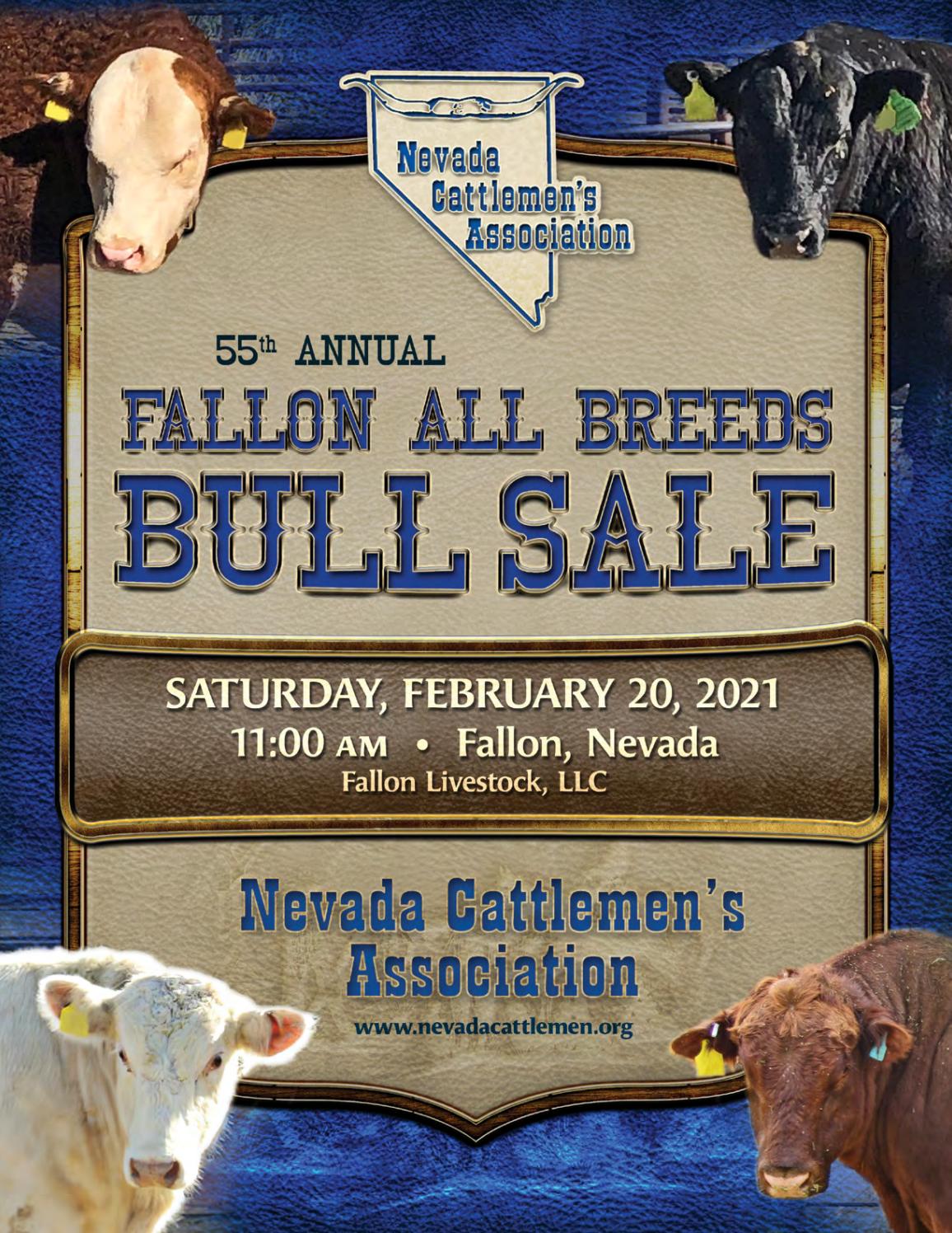 55th Annual Fallon All Breeds Bull Sale by JE Productions Graphic ...