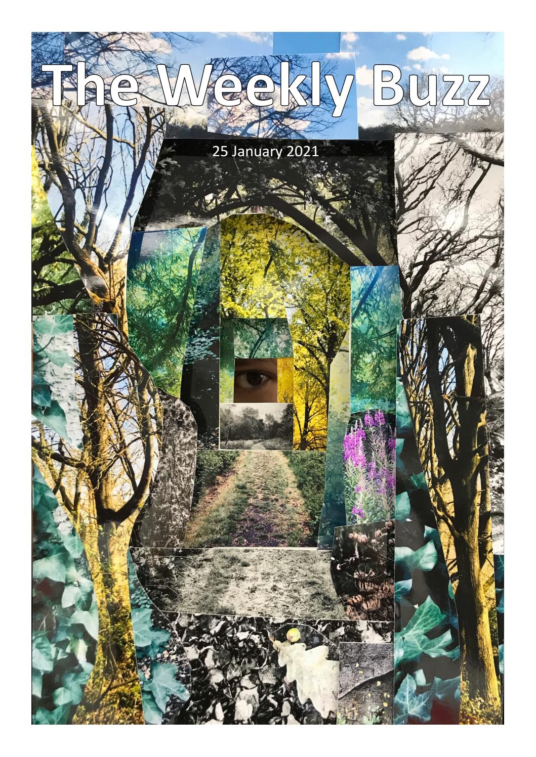 Weekly Buzz 25 January 2021 by Portland Place School - Issuu