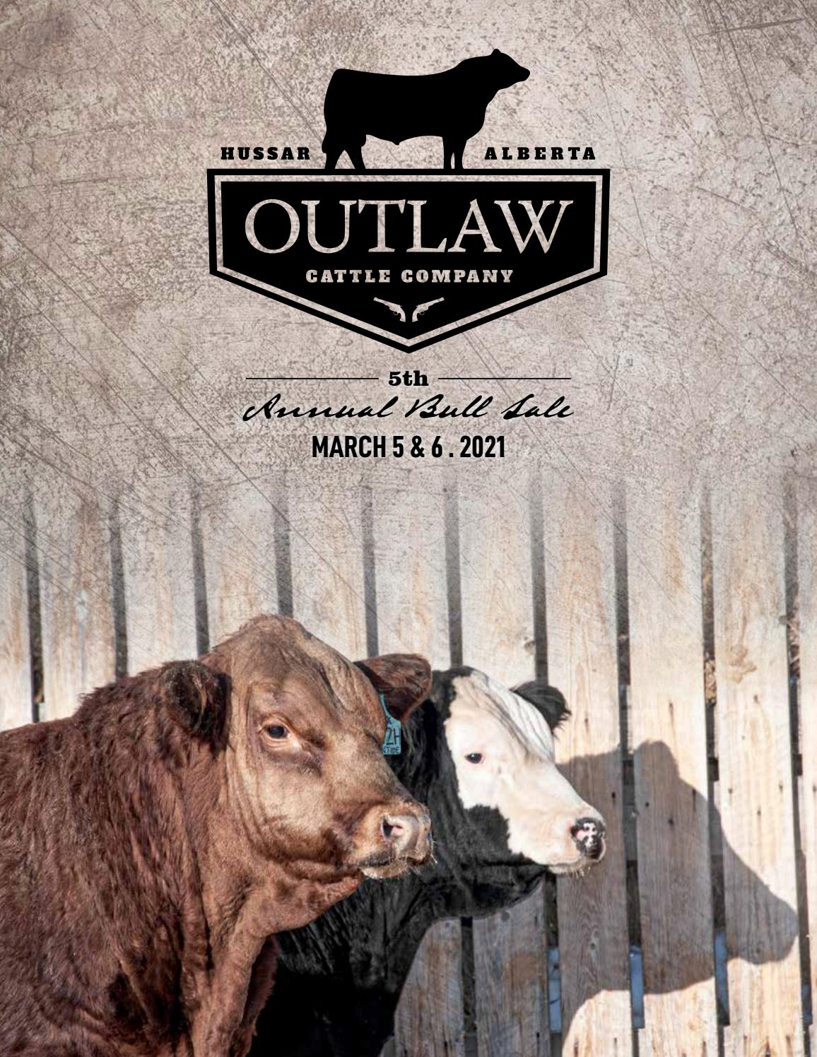 Outlaw Cattle Co Annual Bull & Female Sale - DLMS Farmgate Timed Online ...