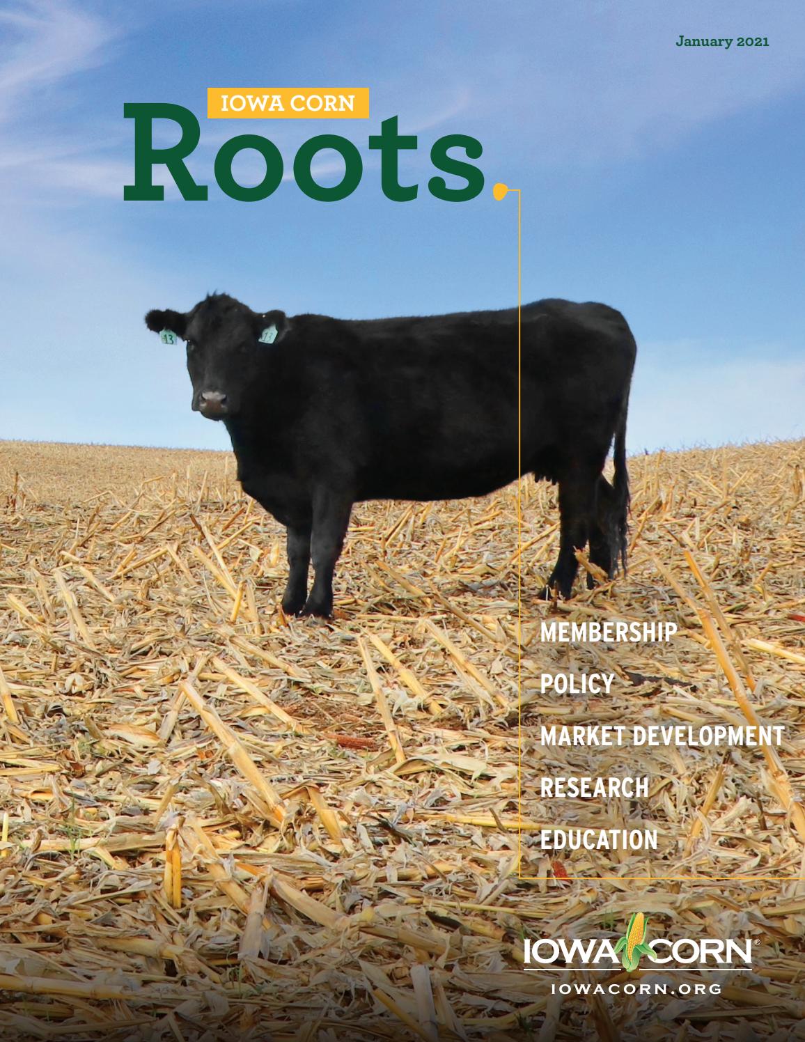 2021 January Roots by Iowa Corn - Issuu