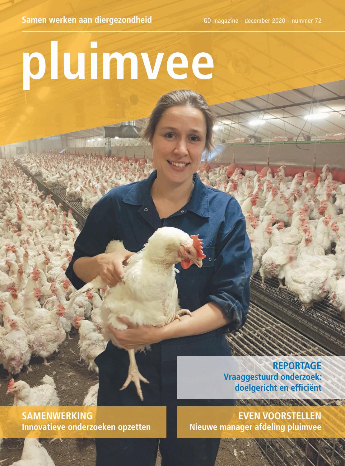 Pluimvee 72- december 2020 by Royal GD - Issuu