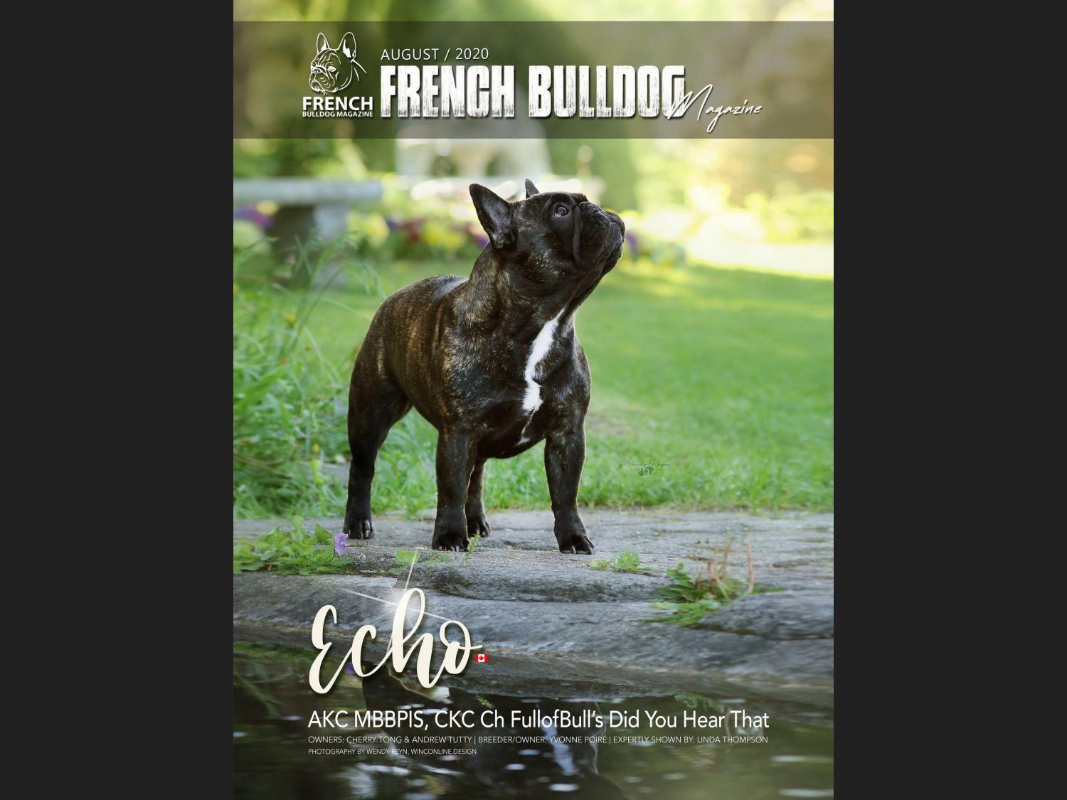 French Bulldog Magazine Aug 2020 to January 2021 by Theo Koekemoer - Issuu