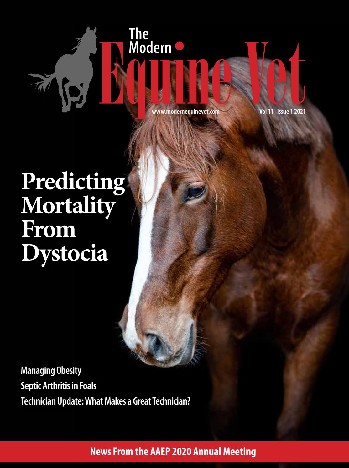The Modern Equine Vet - January 2021 by The Modern Equine Vet - Issuu
