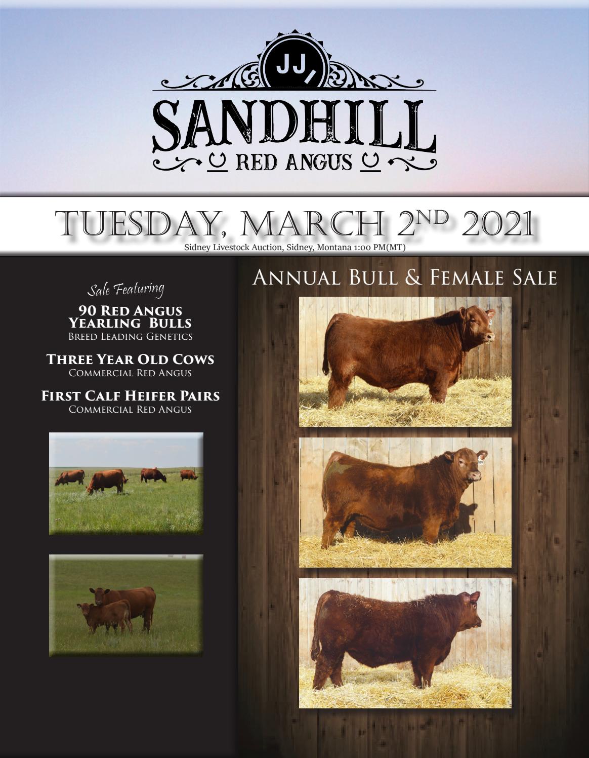 Red Angus Bulls by Castlerock Marketing - Issuu
