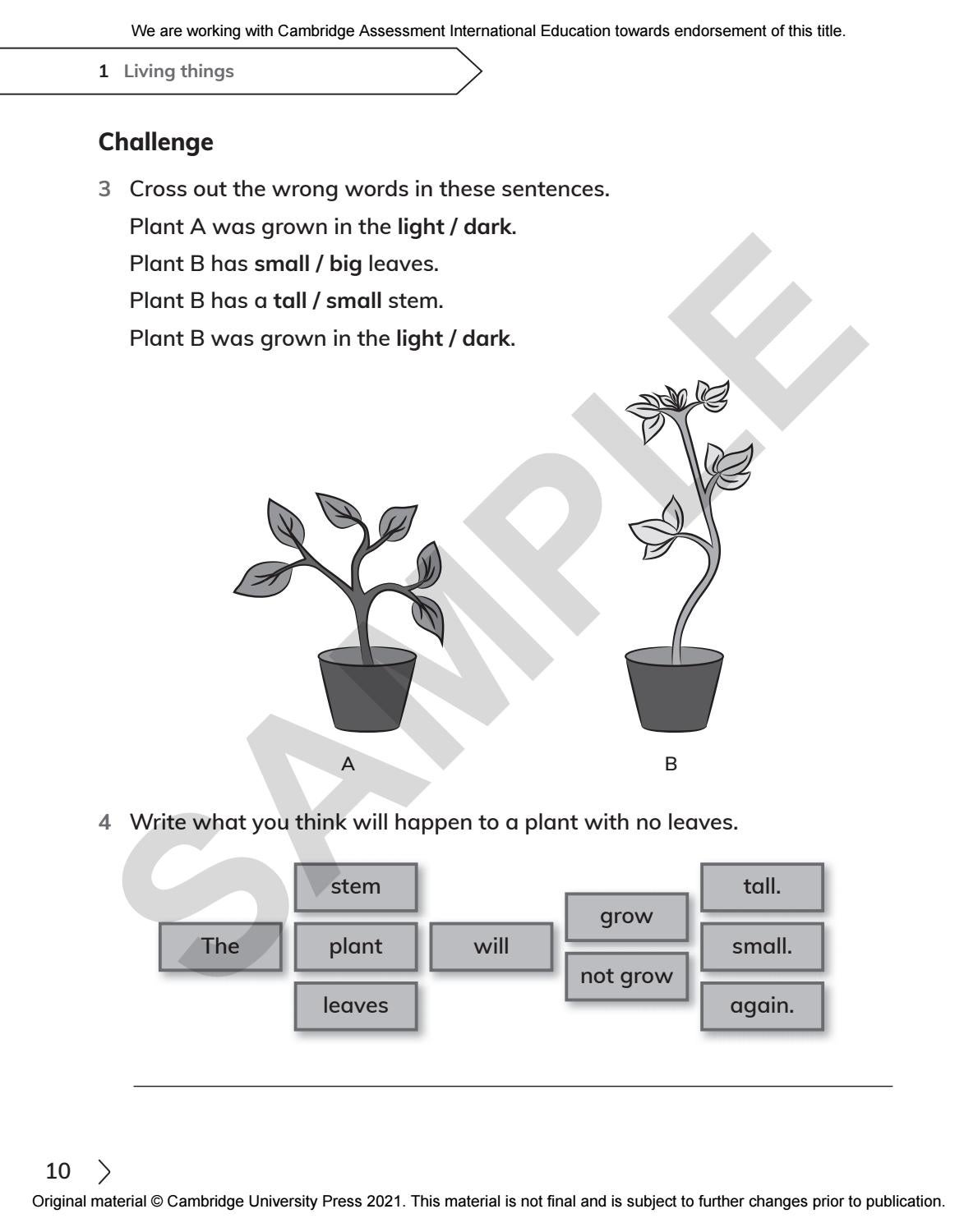 Primary Science Workbook 1 Sample by Cambridge University Press ...