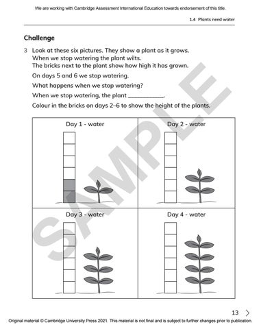 Primary Science Workbook 1 Sample by Cambridge International Education ...