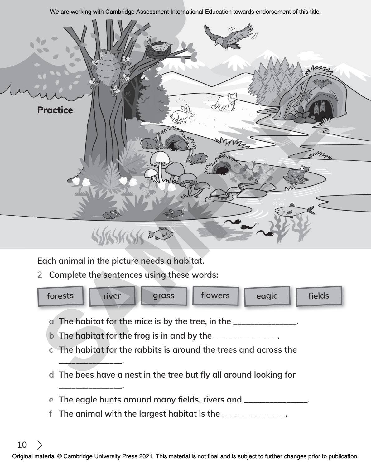 Primary Science Workbook 2 Sample by Cambridge International Education ...