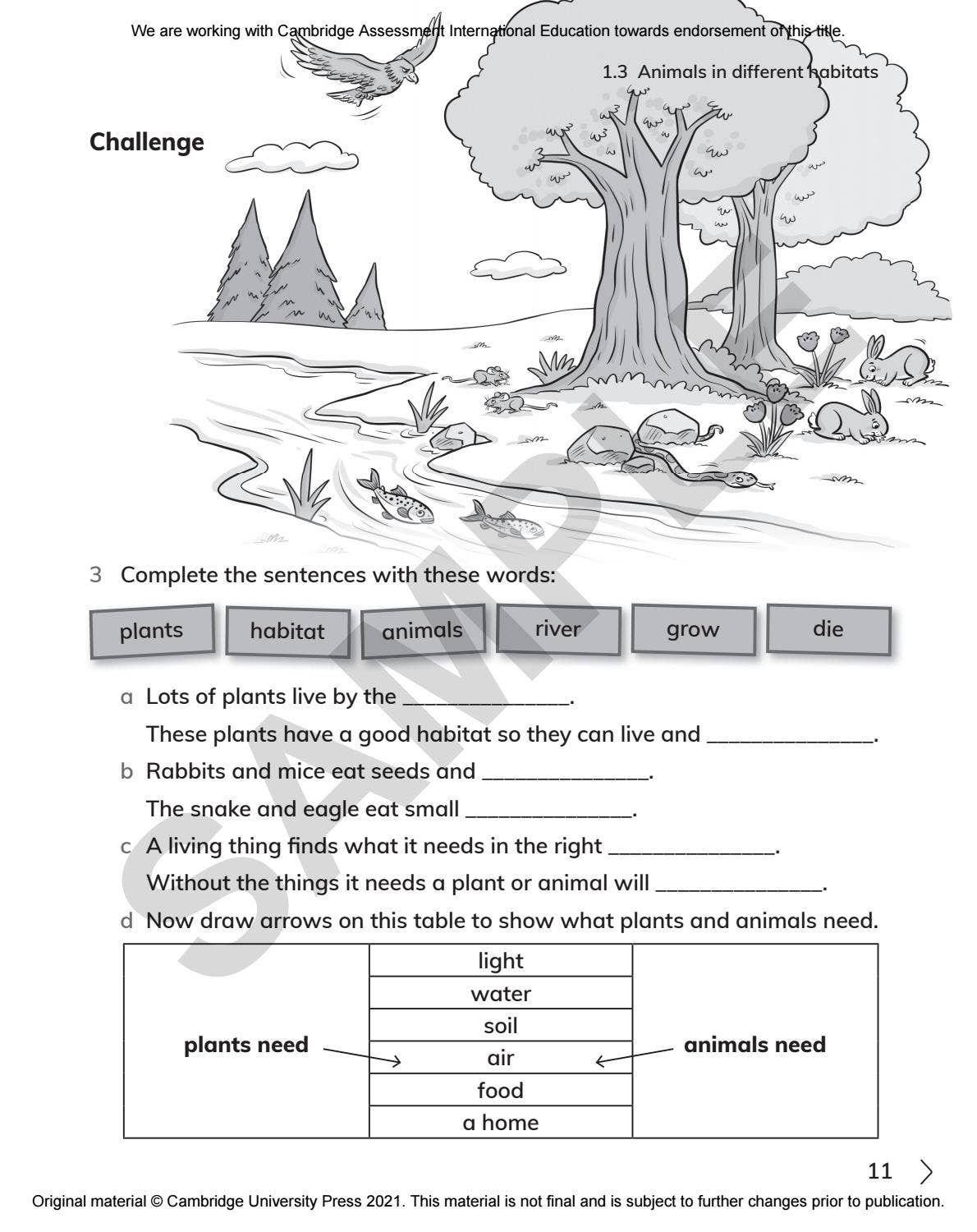 Primary Science Workbook 2 Sample by Cambridge International Education ...