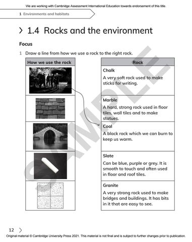 Primary Science Workbook 2 Sample by Cambridge International Education ...