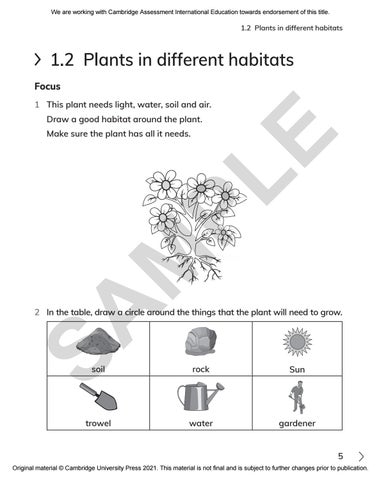Primary Science Workbook 2 Sample by Cambridge International Education ...