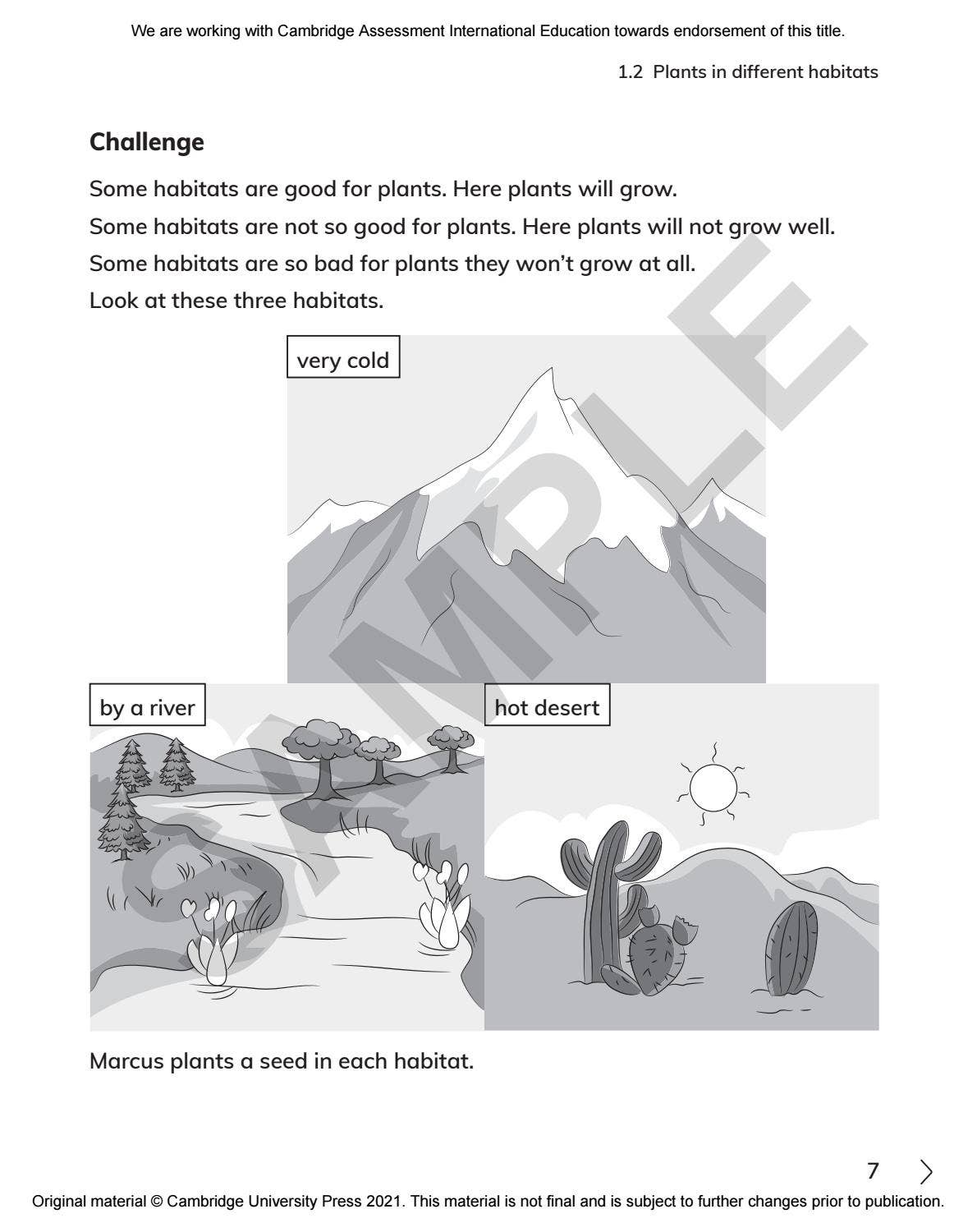 Primary Science Workbook 2 Sample by Cambridge International Education ...