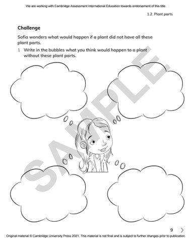Primary Science Workbook 3 Sample by Cambridge International Education ...