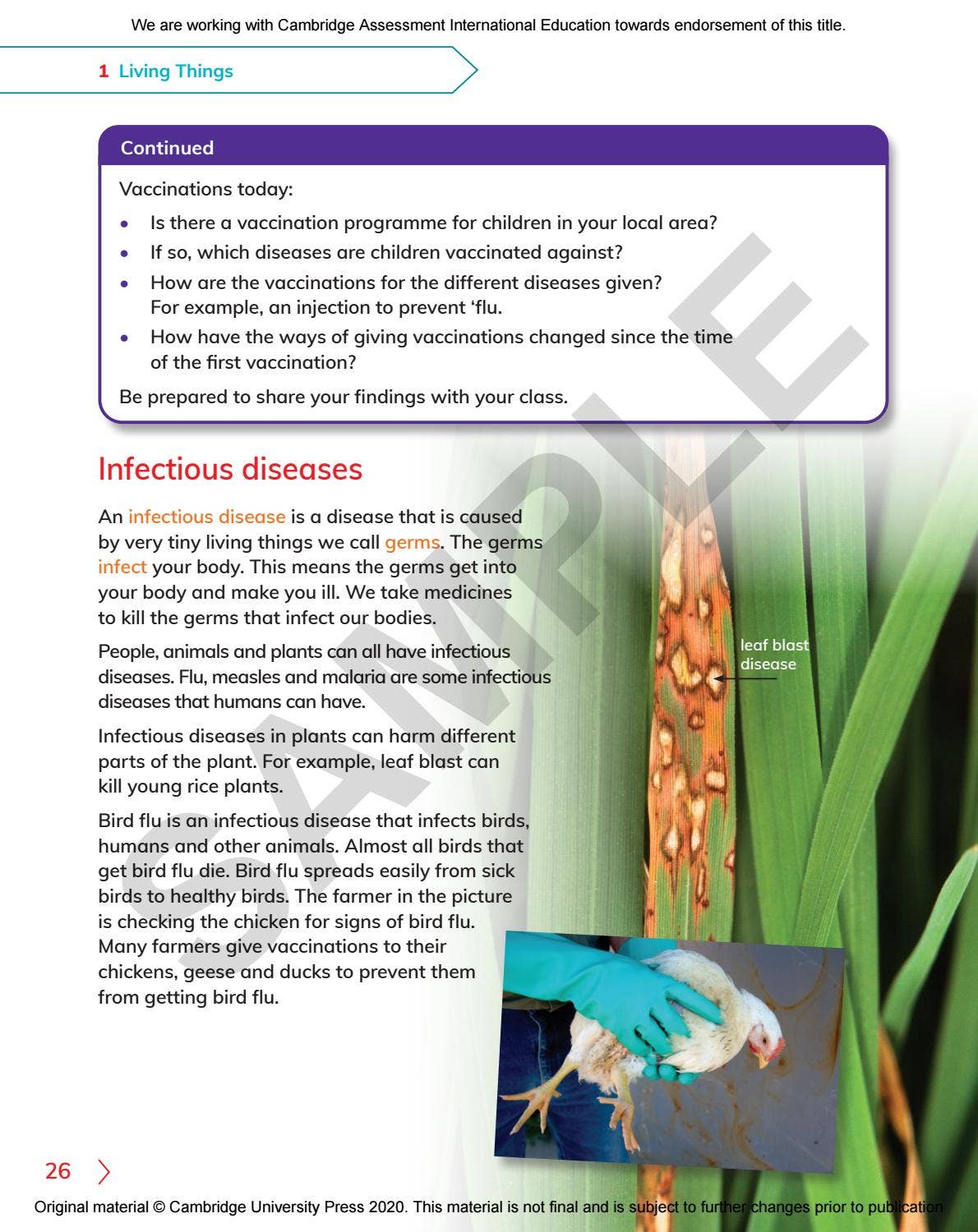 Primary Science Learner’s Book 4 Sample by Cambridge International ...