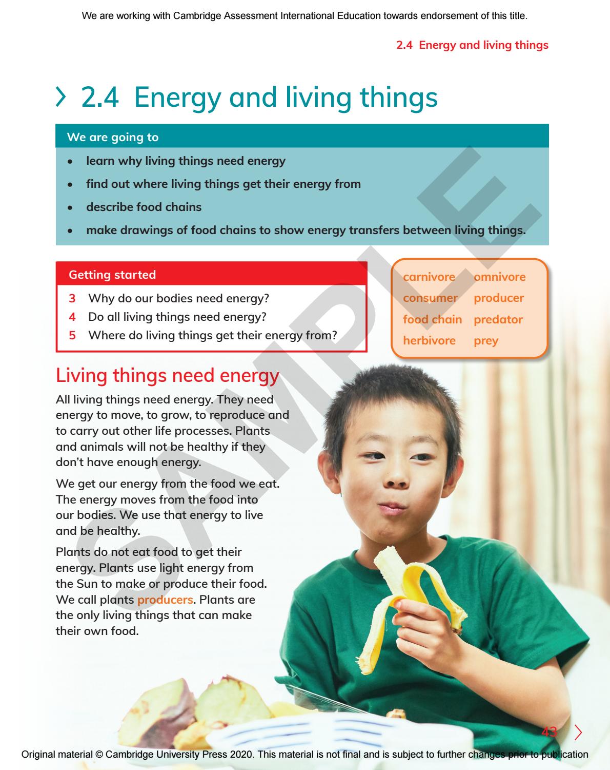 Primary Science Learner’s Book 4 Sample by Cambridge University Press ...