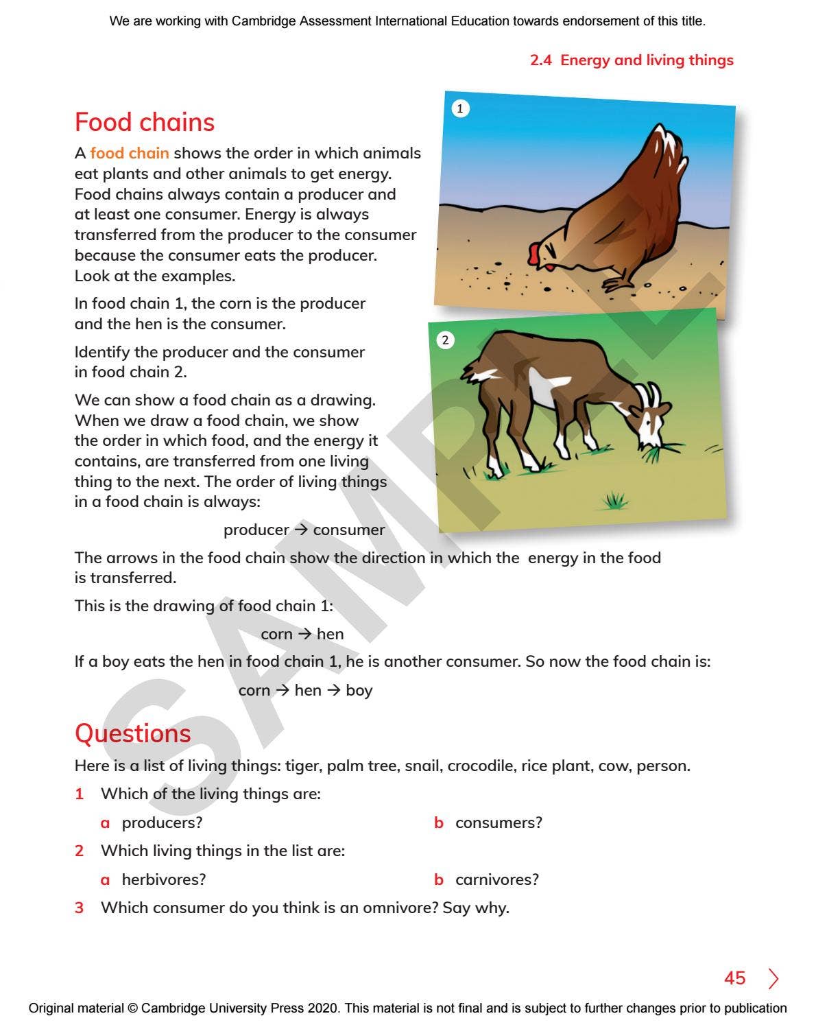 Primary Science Learner’s Book 4 Sample by Cambridge International ...