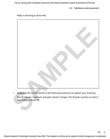 Primary Science Workbook 4 Sample by Cambridge International Education ...