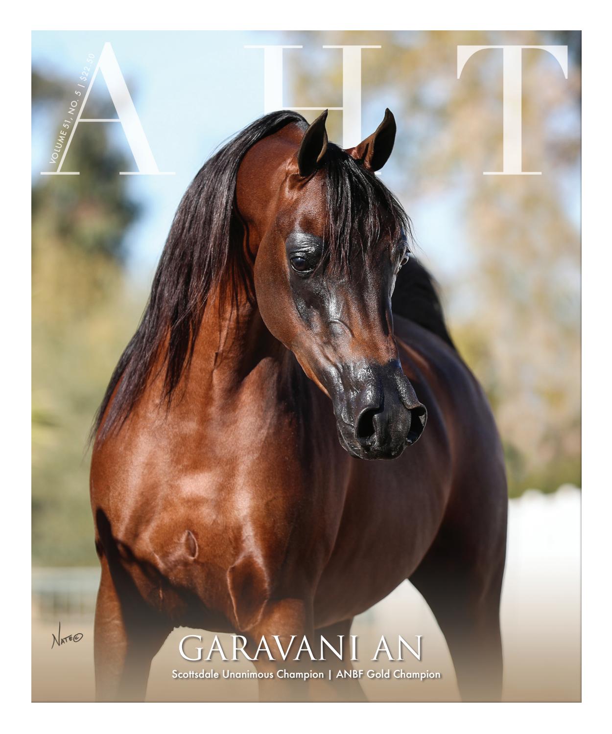 Arabian Horse Times, Vol. 51, No. 5 by Arabian Horse Times - Issuu