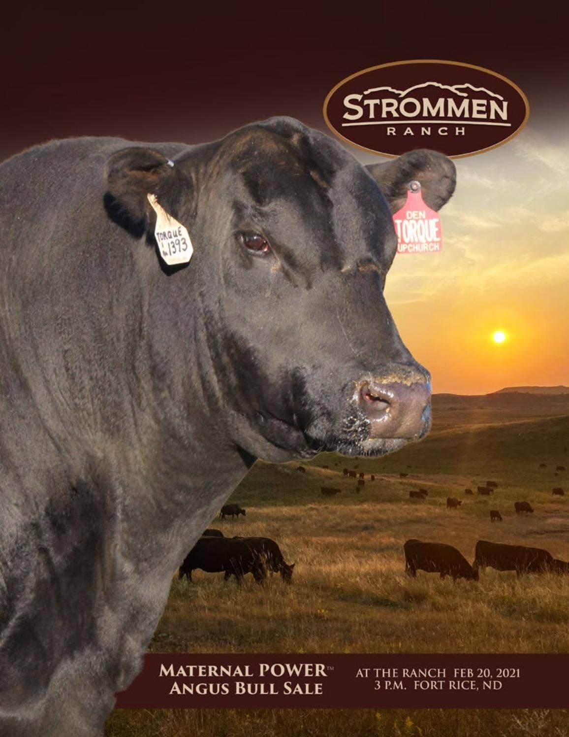 Strommen Ranch Annual Sale Catalog 2021 by PeltonLivestock - Issuu