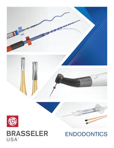 Brasseler USA Endodontic Guide by Brasseler USA - Issuu