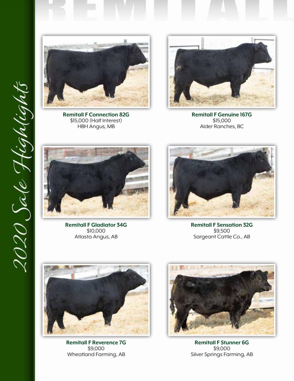 Remitall Farms Bull & Select Female Sale by Bohrson Marketing Services ...