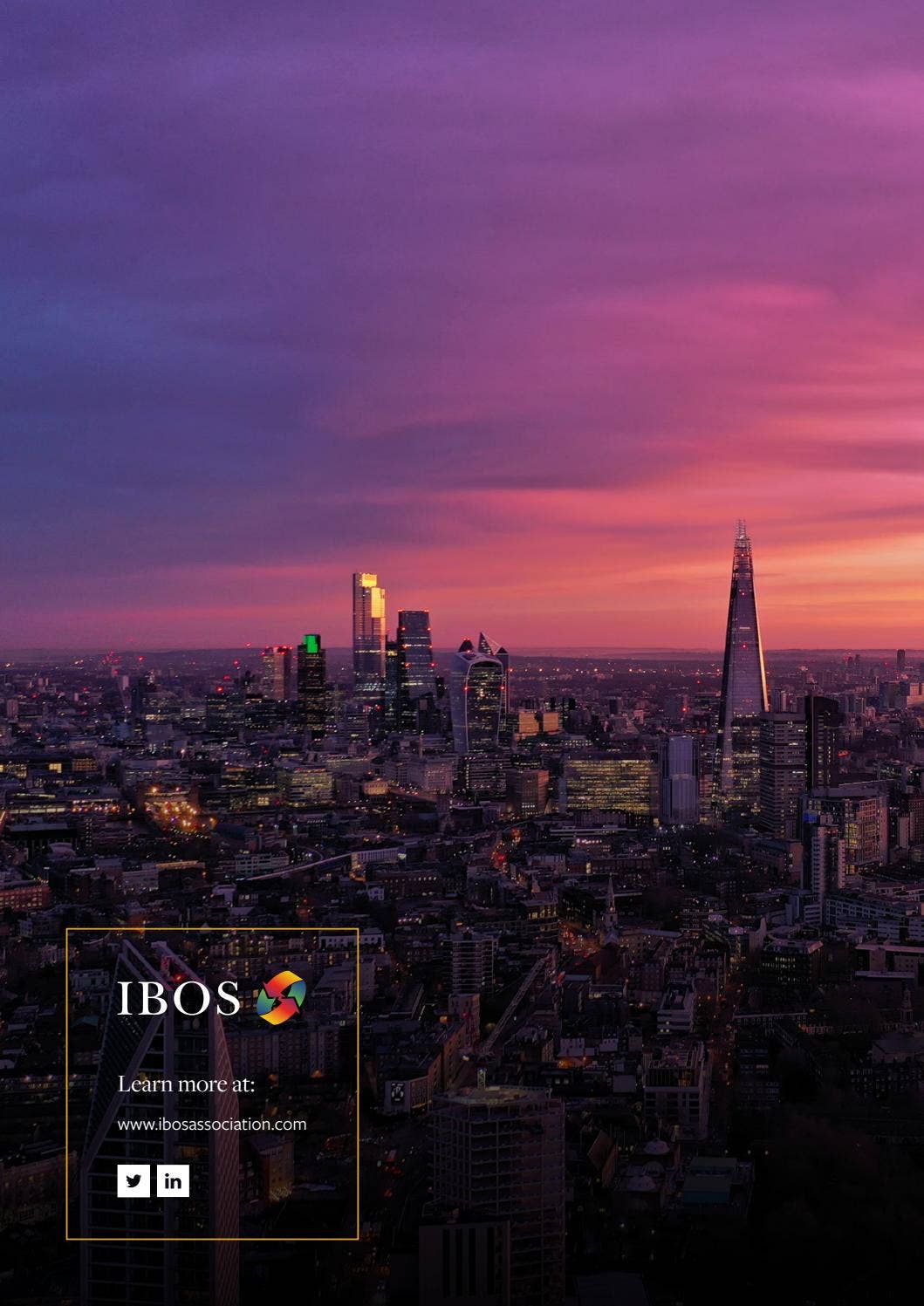 IBOS MIS User Guide by IBOS Association Limited - Issuu