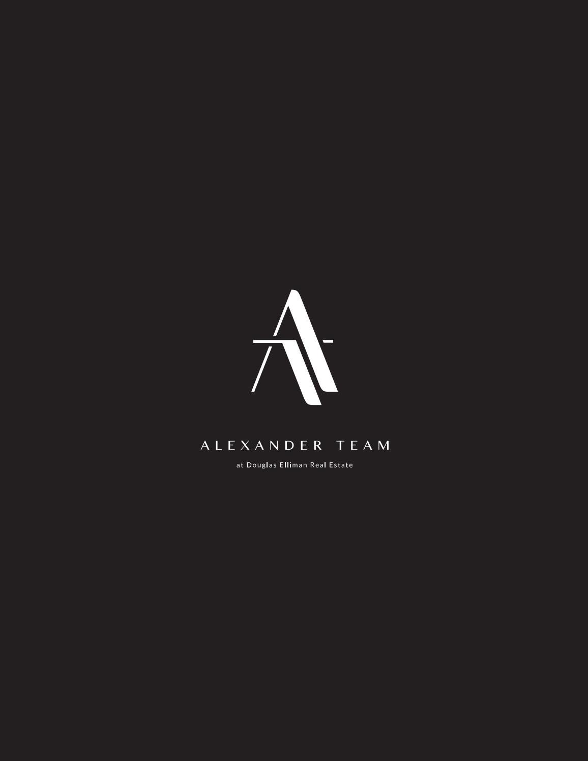 Alexander Team Overview_2021 by Alexander Team - Issuu