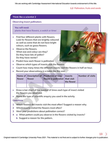 Primary Science Learner’s Book 5 Sample by Cambridge International ...
