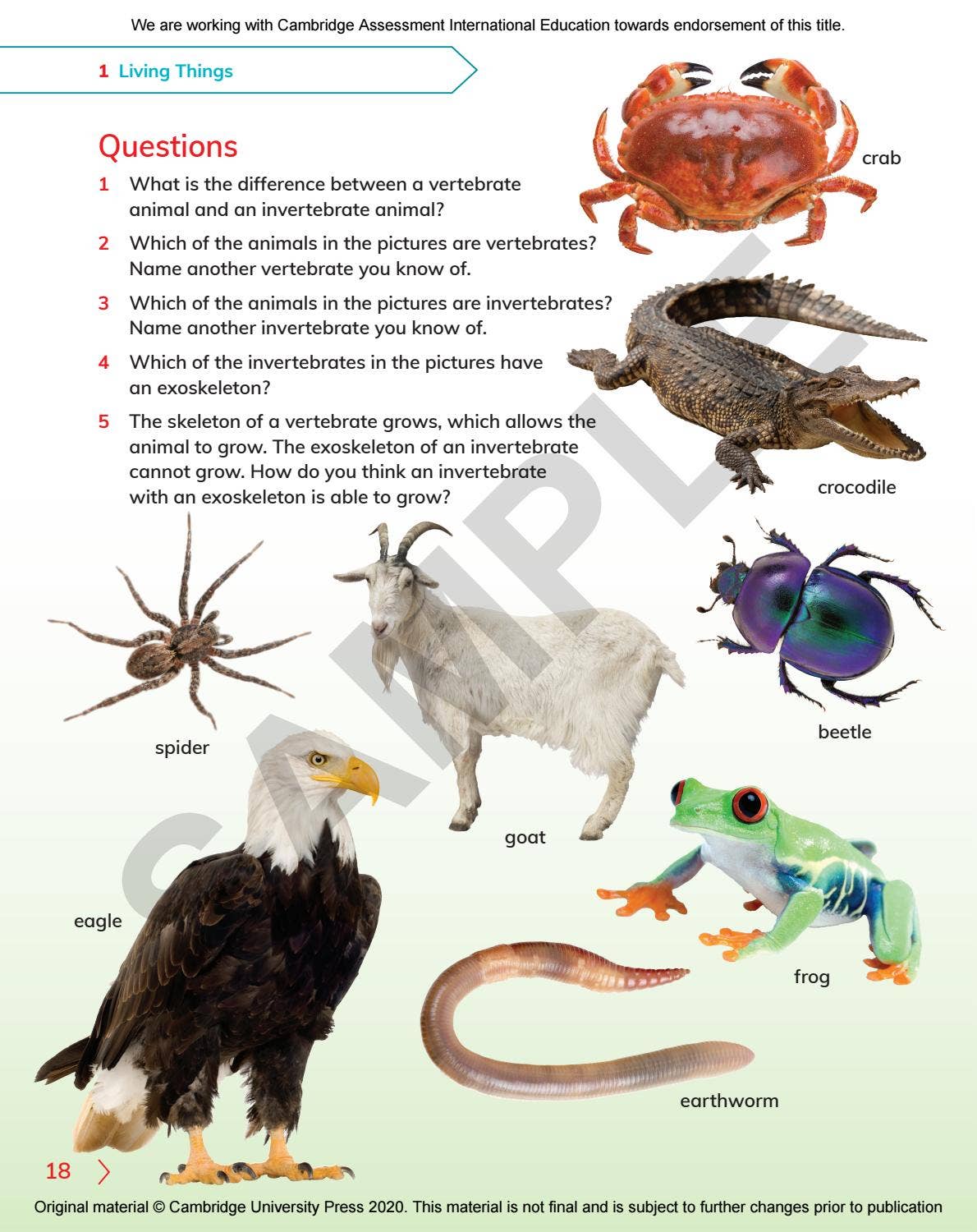 Primary Science Learner’s Book 4 Sample by Cambridge International ...