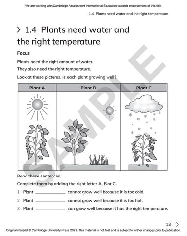 Primary Science Workbook 3 Sample by Cambridge International Education ...